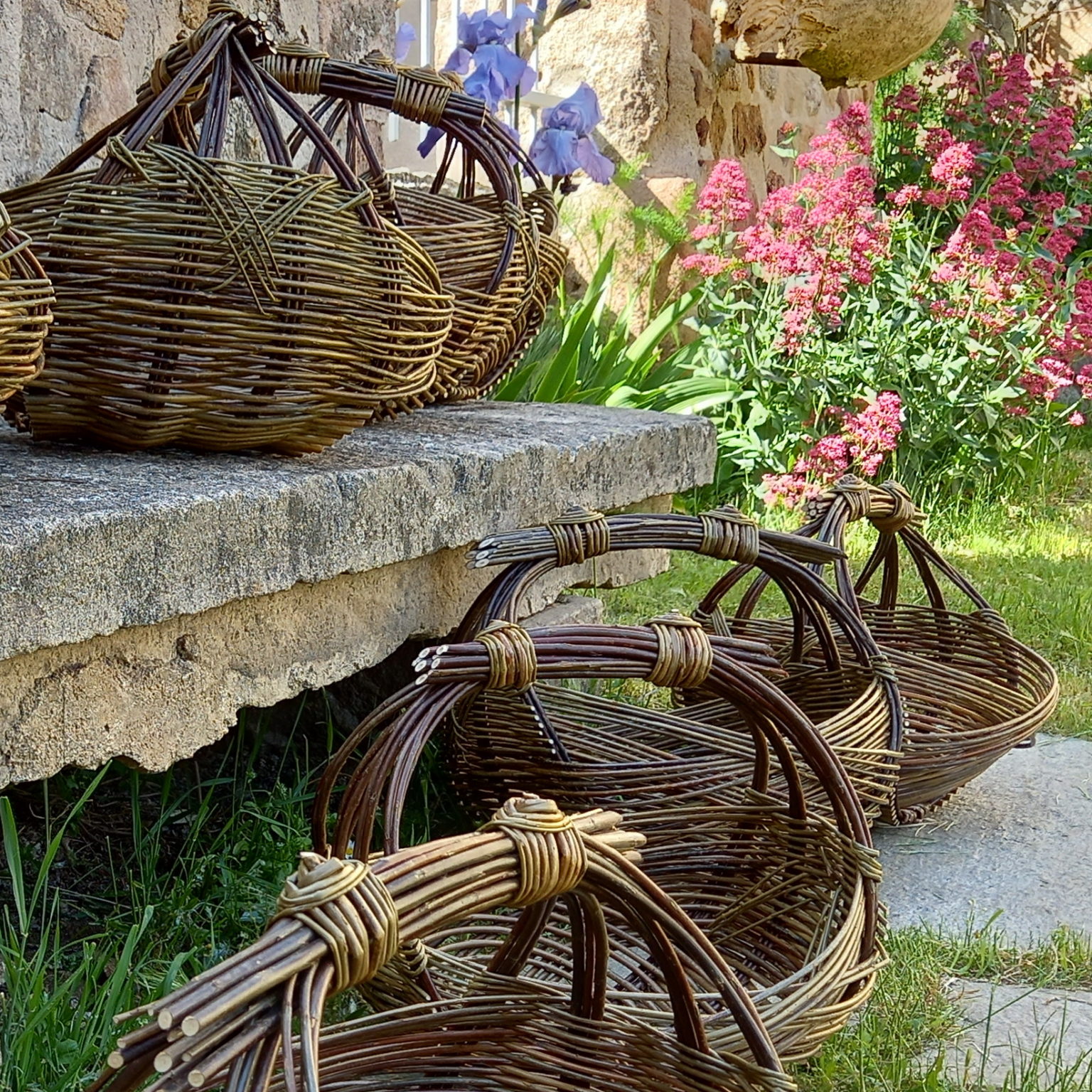 Tressez votre Grand Panier en Vannerie Osier modèle Zarzo