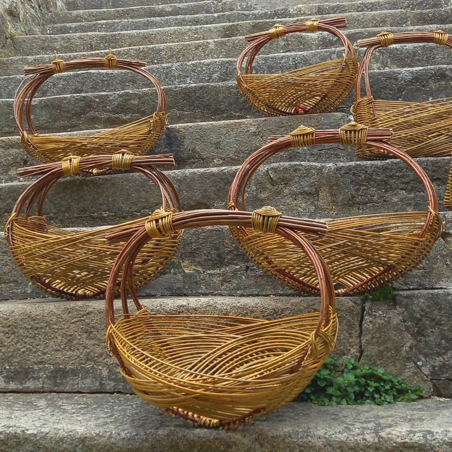 Tressez votre Grand Panier en Vannerie Osier modèle Zarzo